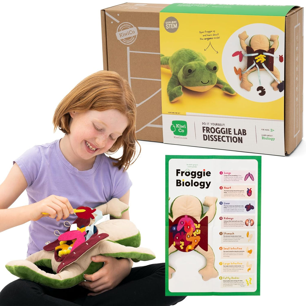 Froggie Lab Dissection, Frog Plush Toy Anatomy Learning Toy & Stuffed – BlessMyBucket